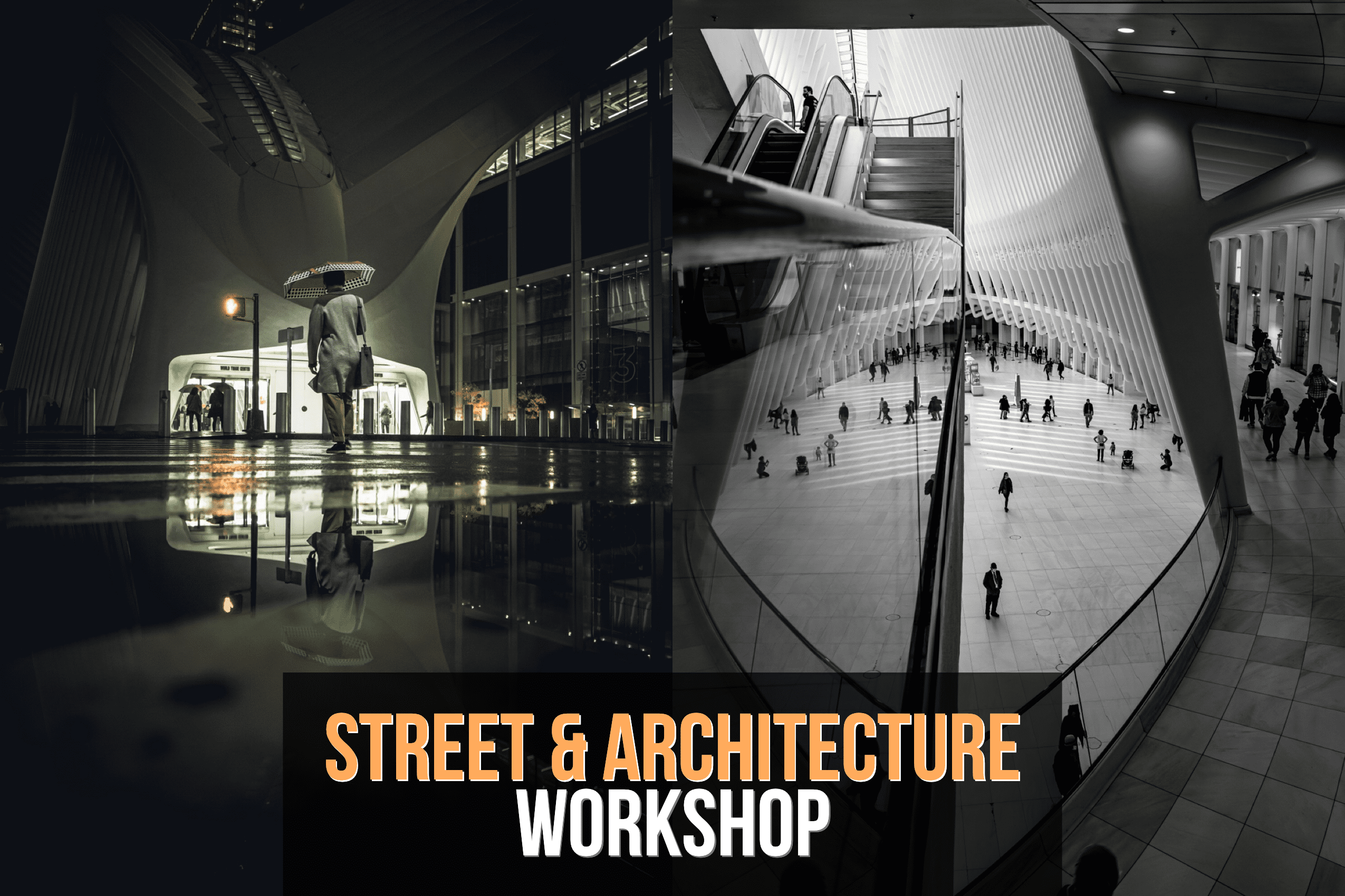 Professor Hines | Adobe Lightroom 2021 Splash Screen Artist