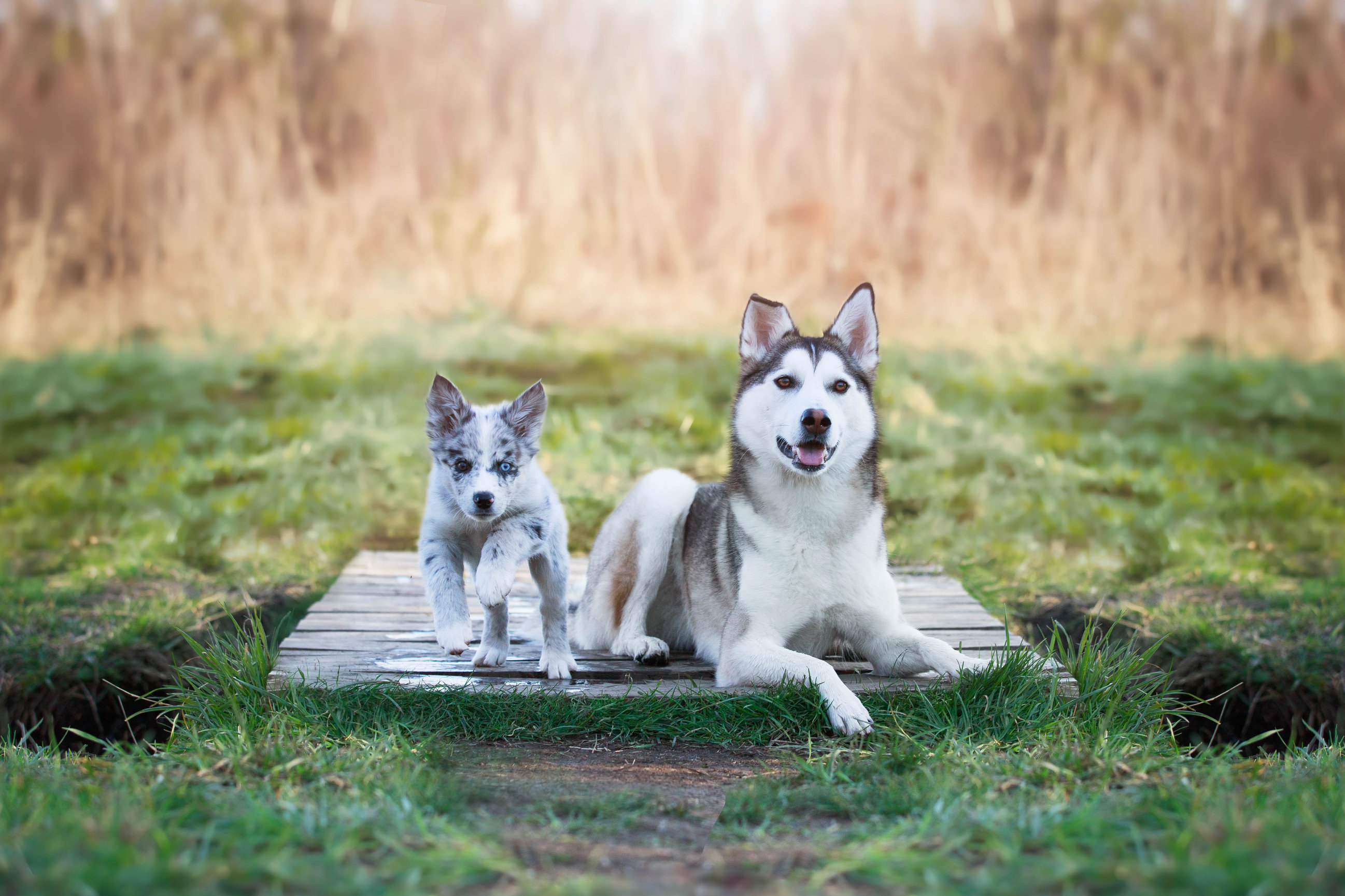 Kim Yanick Portraits