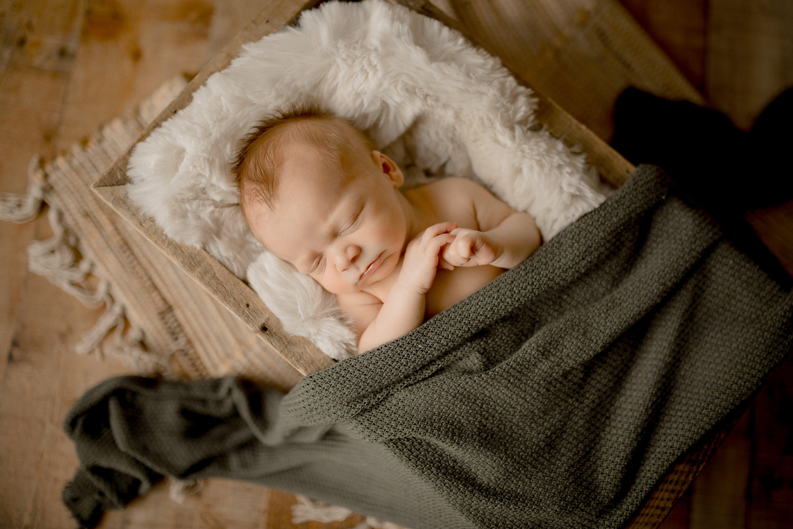 Home - Janette Smith Photography