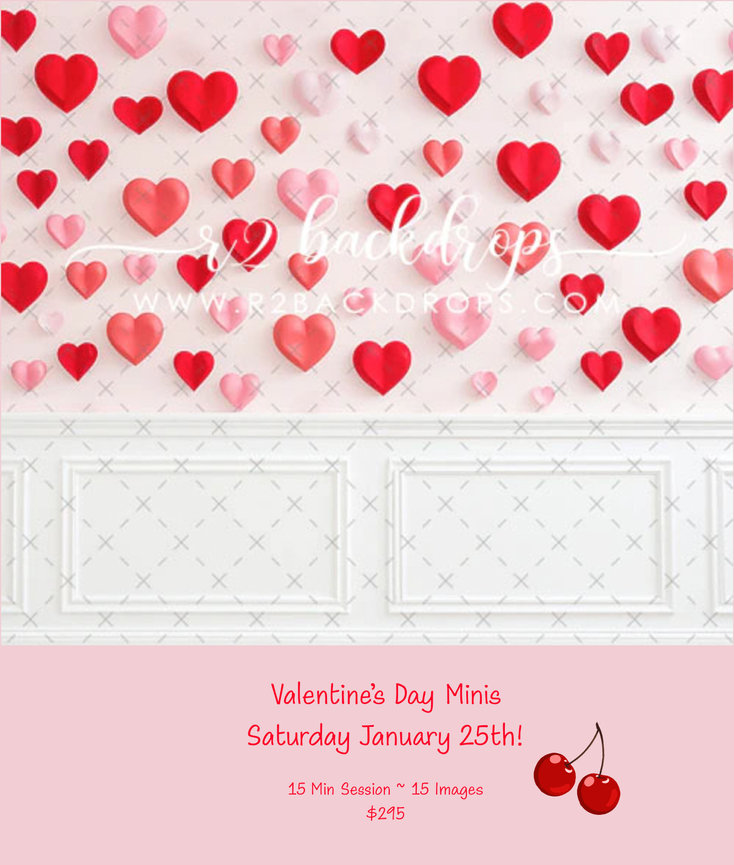 Valentine's Day Minis - Amanda Brehm Photography