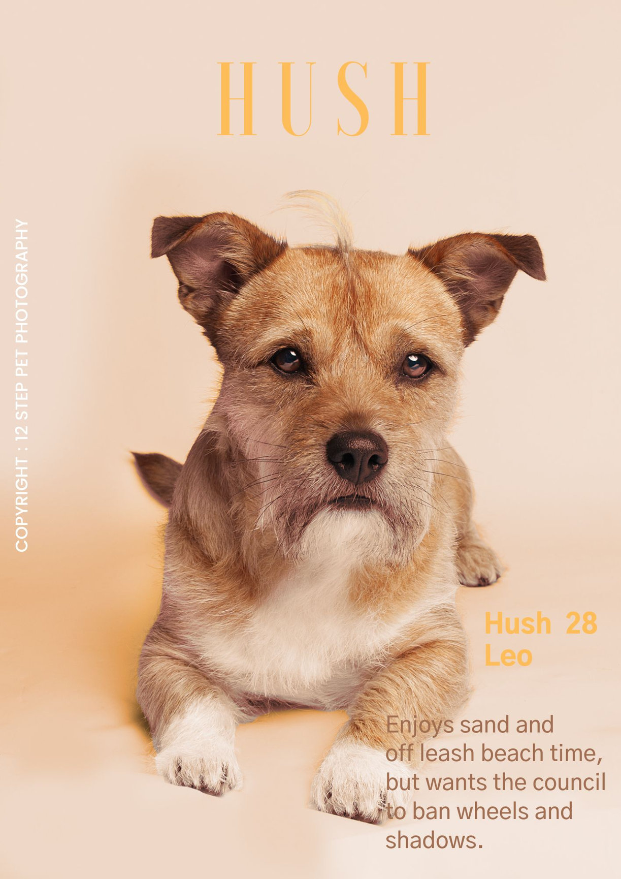 Leo - Hush - Card - Lighthouse Studio - Adelaide Photographer