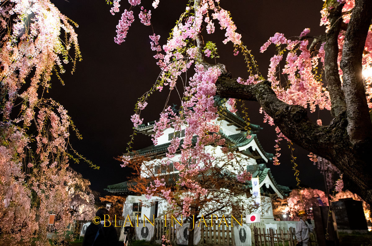 Earliest Cherry Blossoms - Japan Hanami Tour - Blain Harasymiw Photography