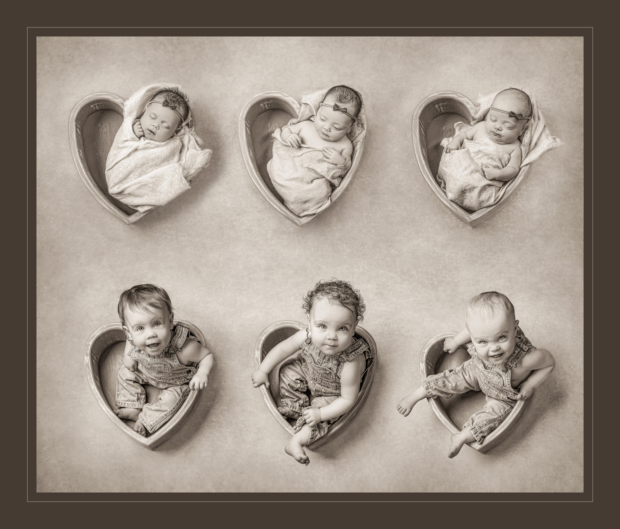 THE TWELVE ELEMENTS OF PHOTOGRAPHIC COMPETITION - Montana Professional ...