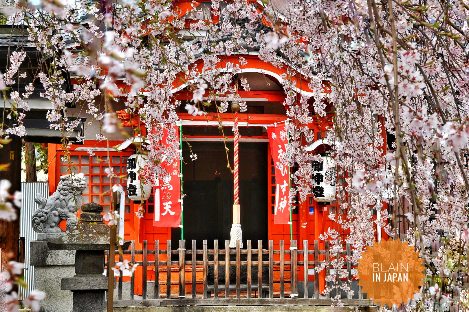 Japan’s Samurai Fortresses - Historic Cherry Blossom Photography Tour ...