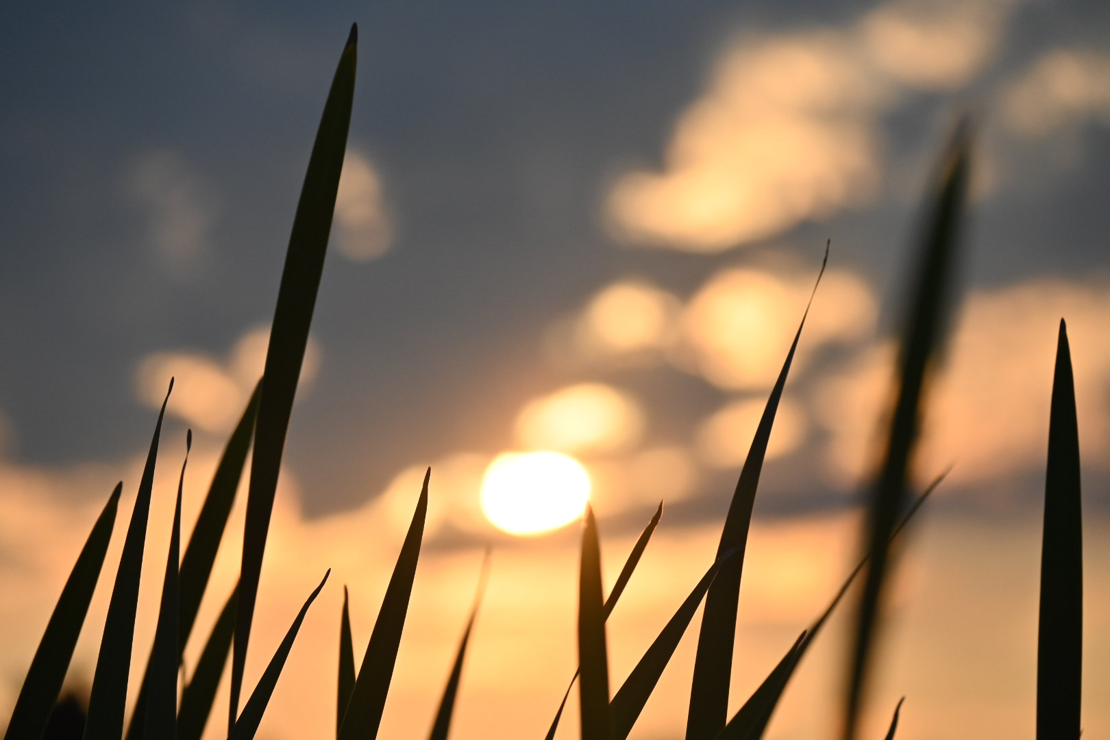 Home - Bryan Pollard Creative Studio