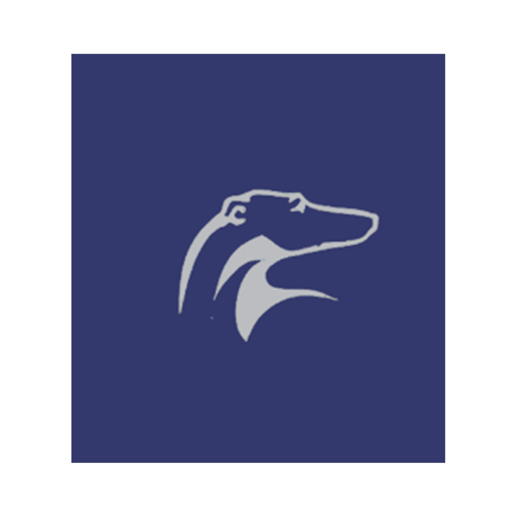 DLP Sports | NC Sports Team School Photographer