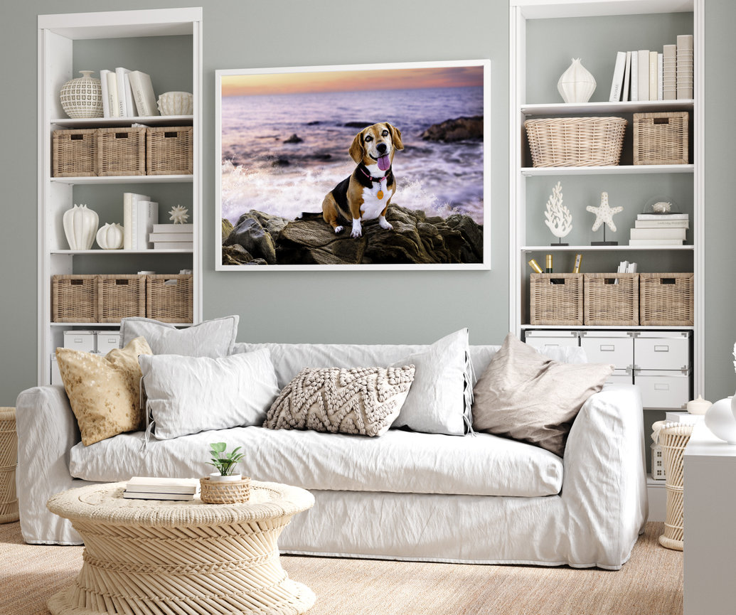 Explore the Artwork - kimberly austin photography