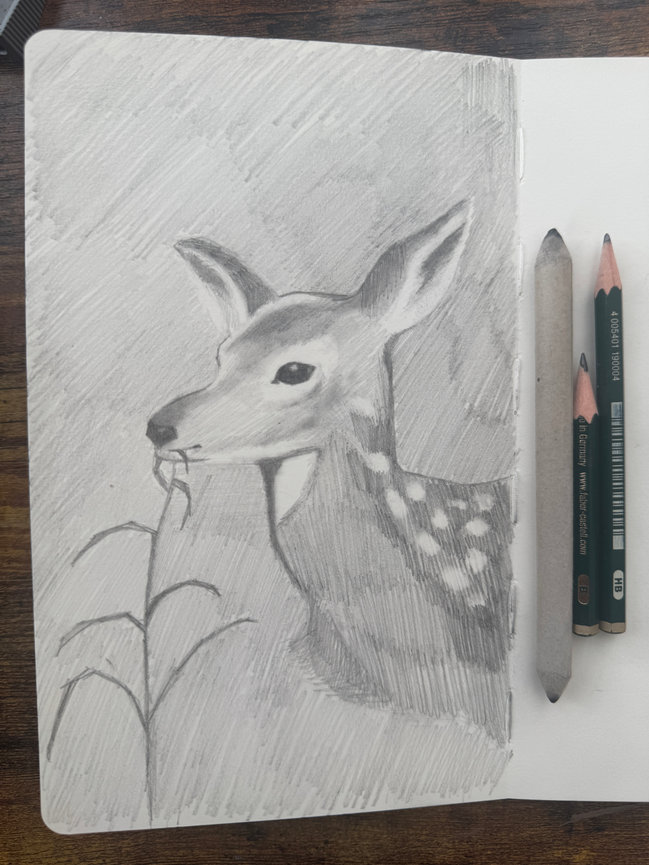 Sketches//Studies - Bryan Pollard Creative Studio