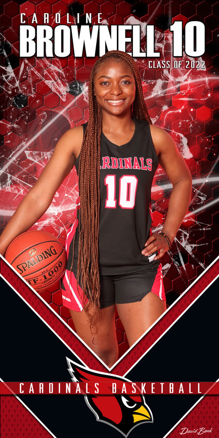 VINYL BANNERS/POSTERS - David Bank Studios