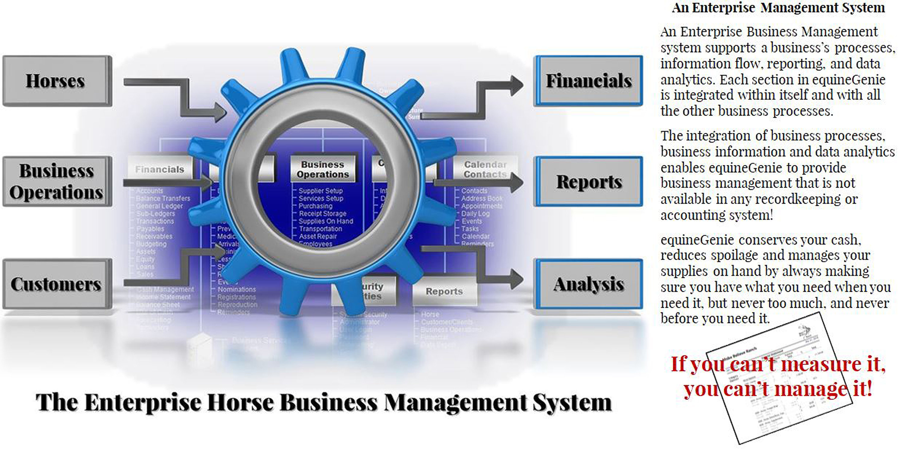 equineGenie - Equine Genie - Horse Business Management Software