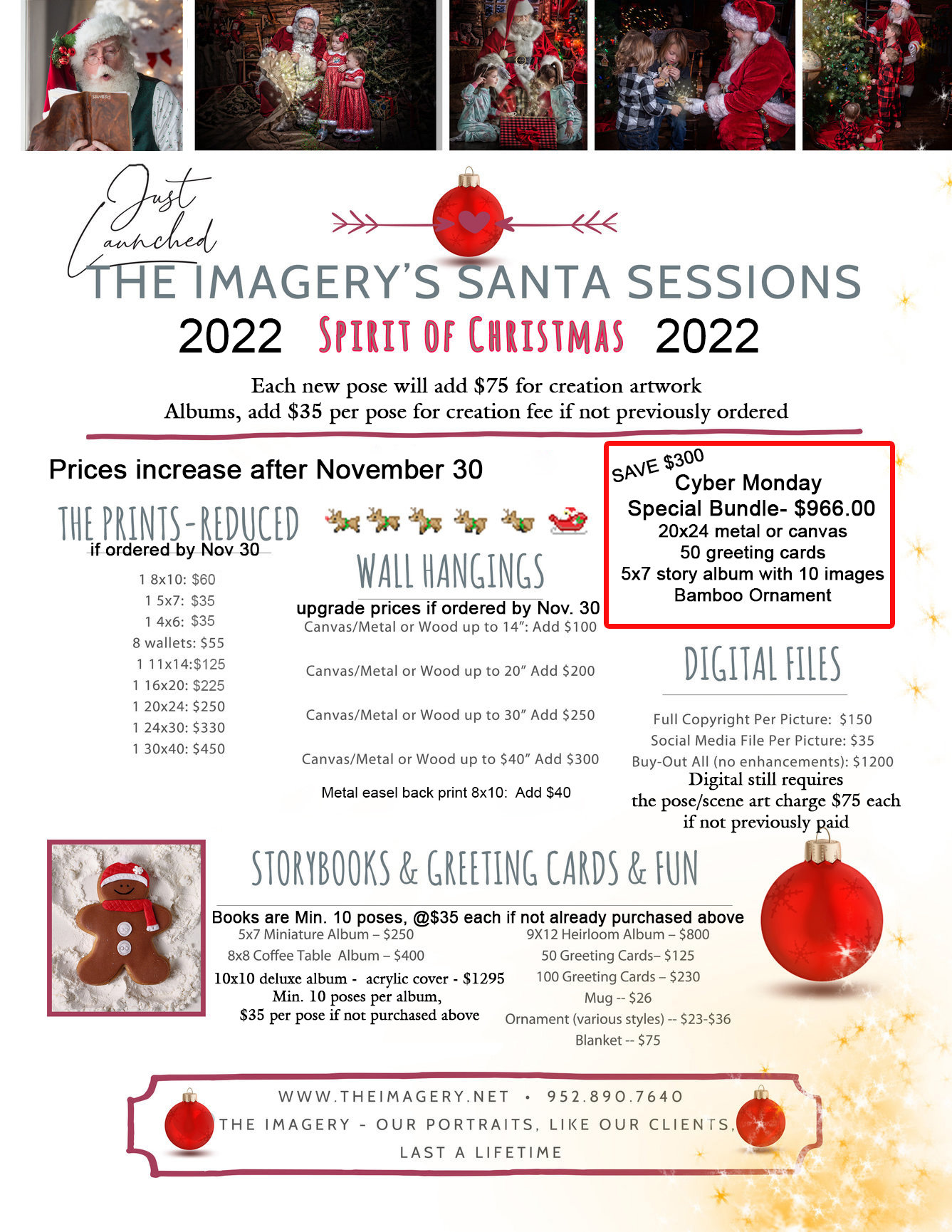 SANTA SESSION - The Imagery