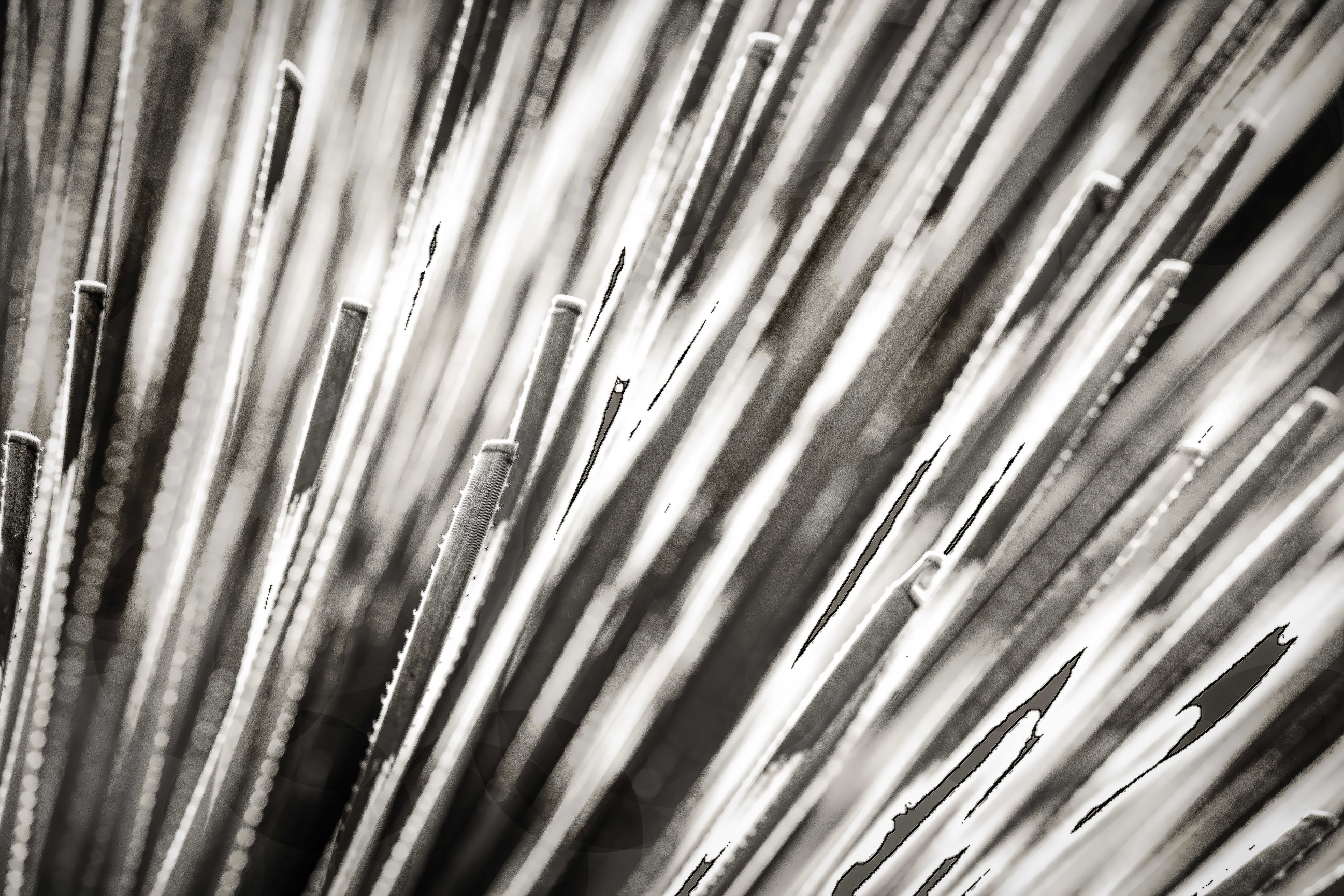 HOME - Steven Kaye Photography