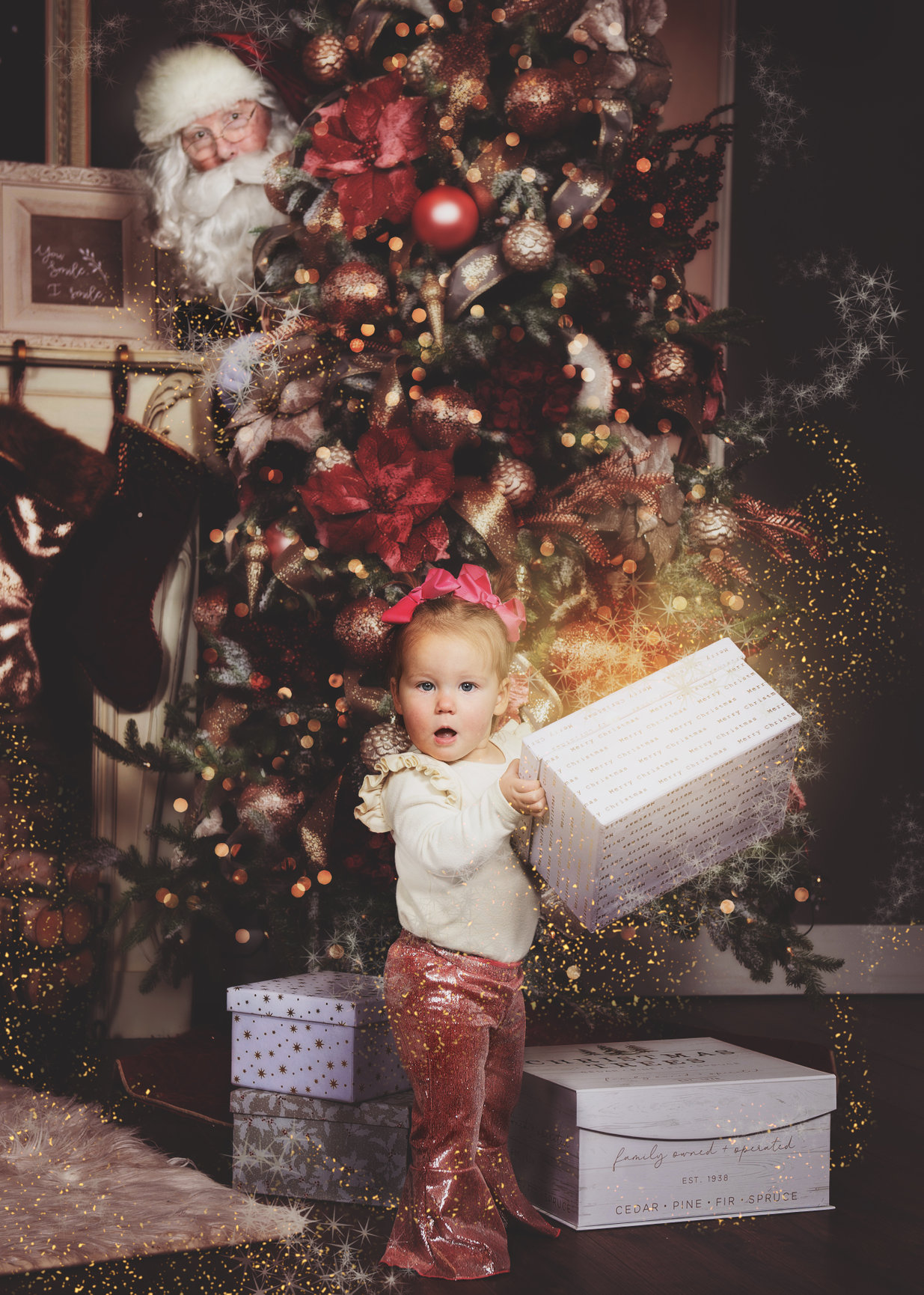 Santa & Me 2025 - Jill Daugherty Photography
