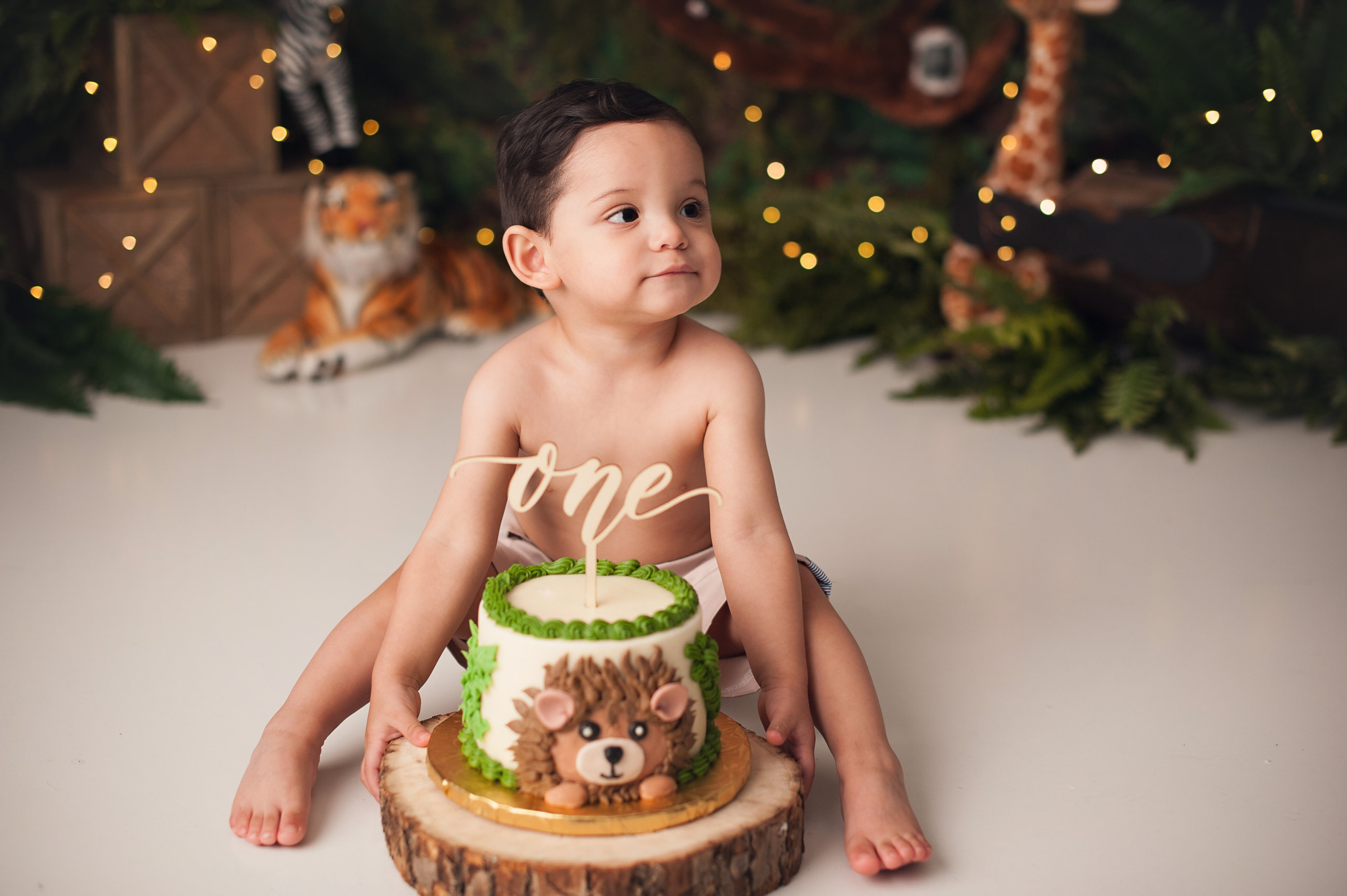 A Safari Cake Smash for Gabriel! - Salt Lake City Utah Cake Smash ...