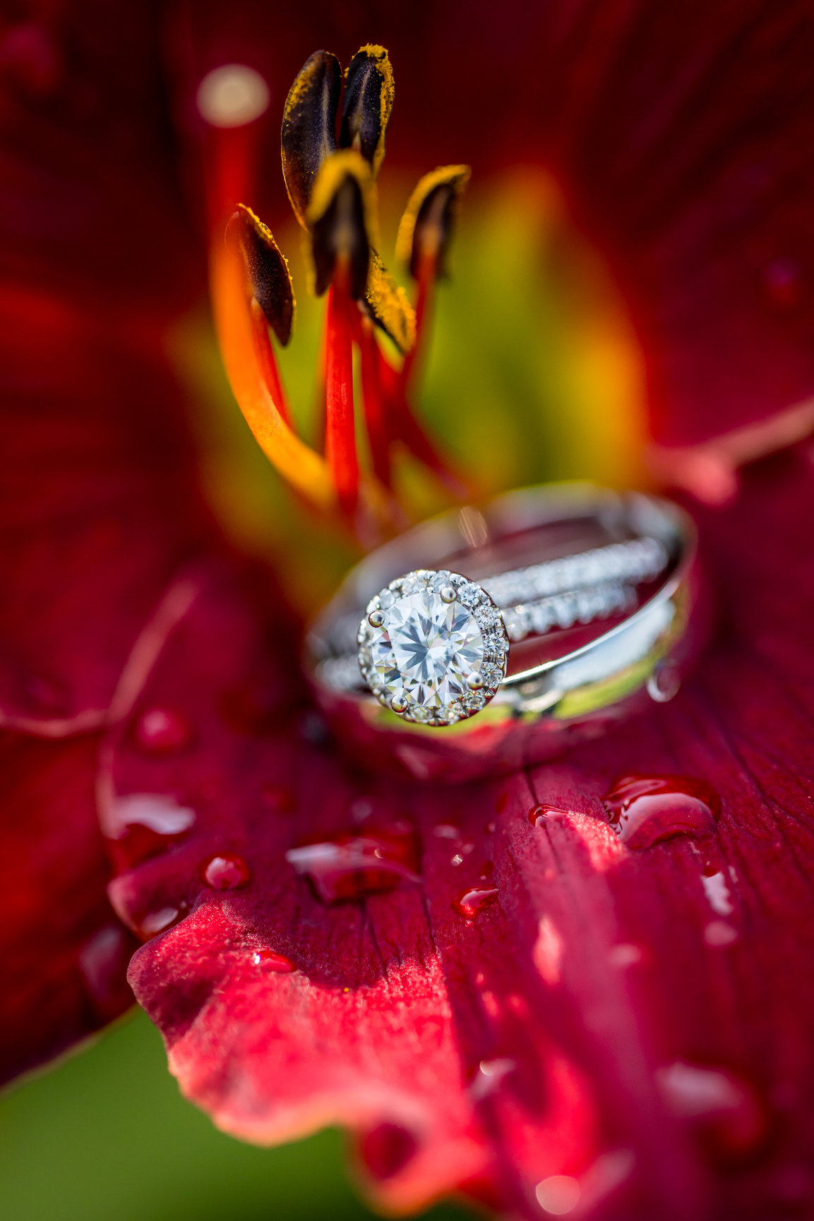 WEDDING - James Netz Photography