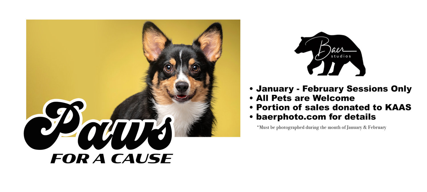 HOME - Baer Photography