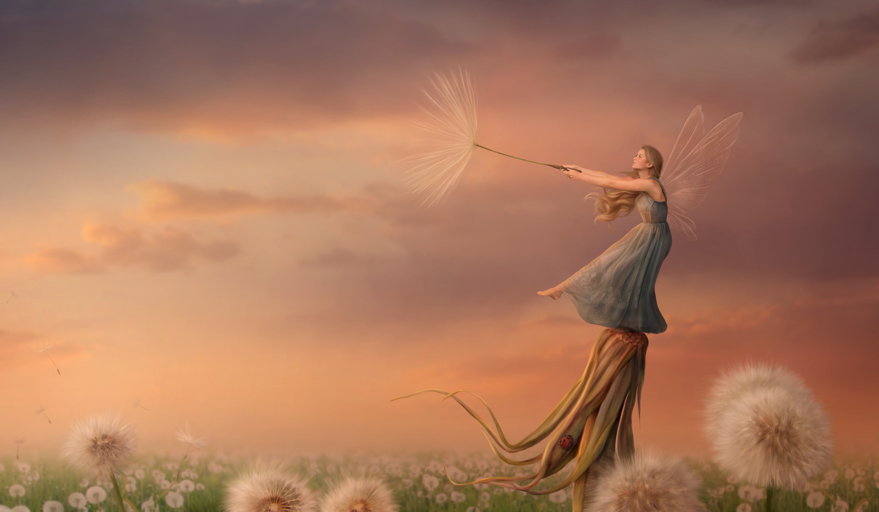 Capturing Moments in Colorado: Aurora & Colorado Springs Photographer ...