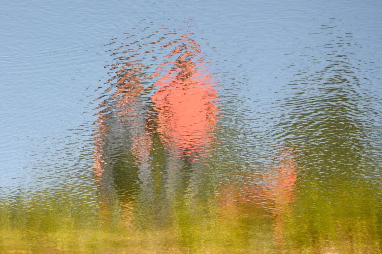 ABSTRACTIONS - Jon Bierman