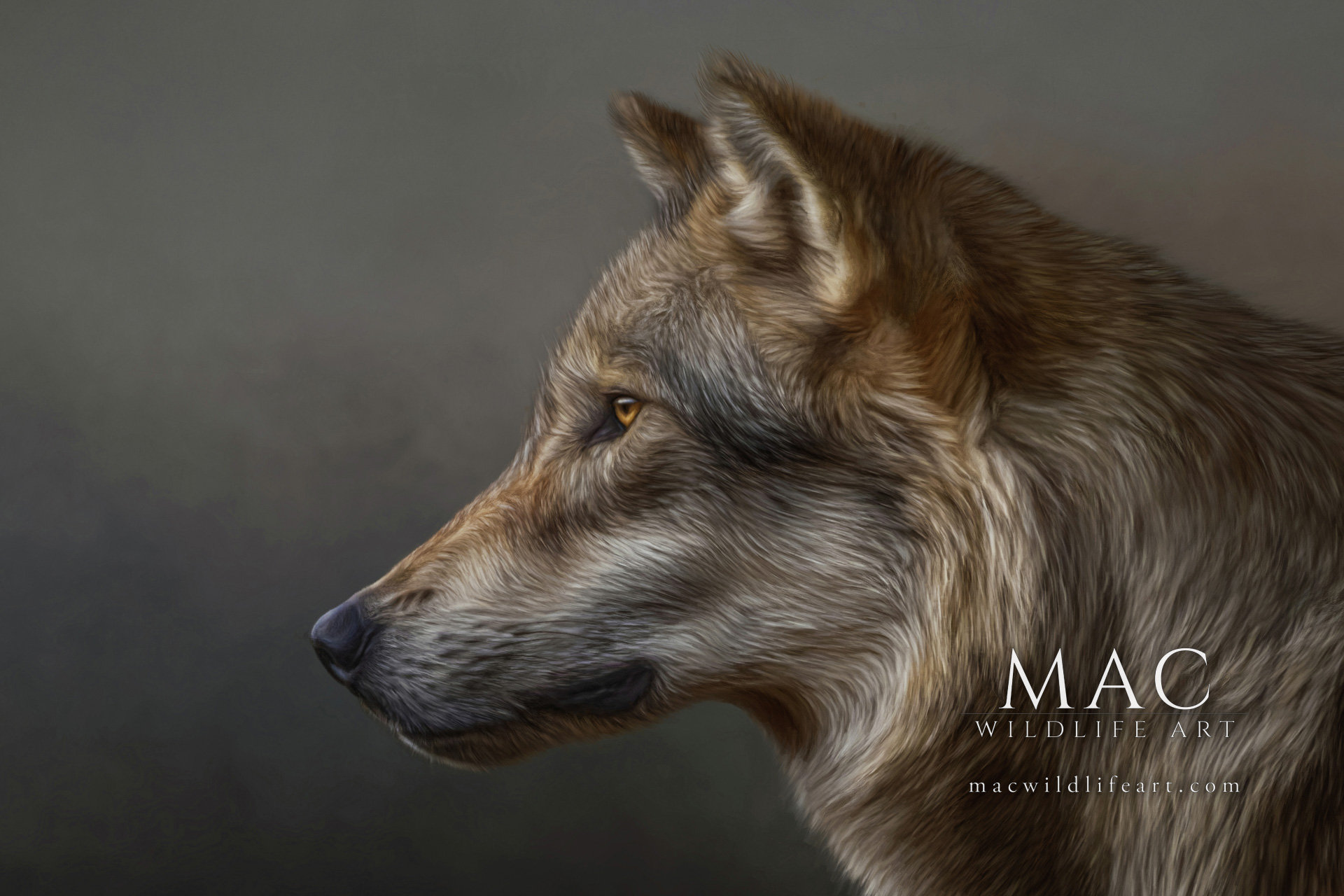 Wolf of the Hoodoo - Print and Wood - Mac Wildlife & Art