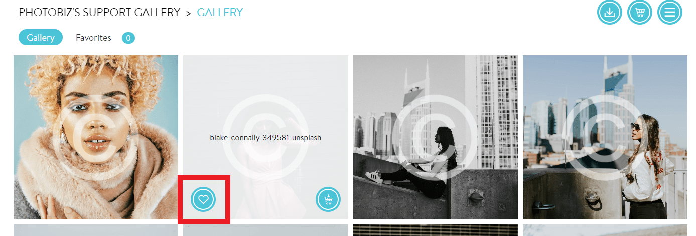 How To Do Bulk Downloads from a Client Galleries Event - PhotoBiz ...