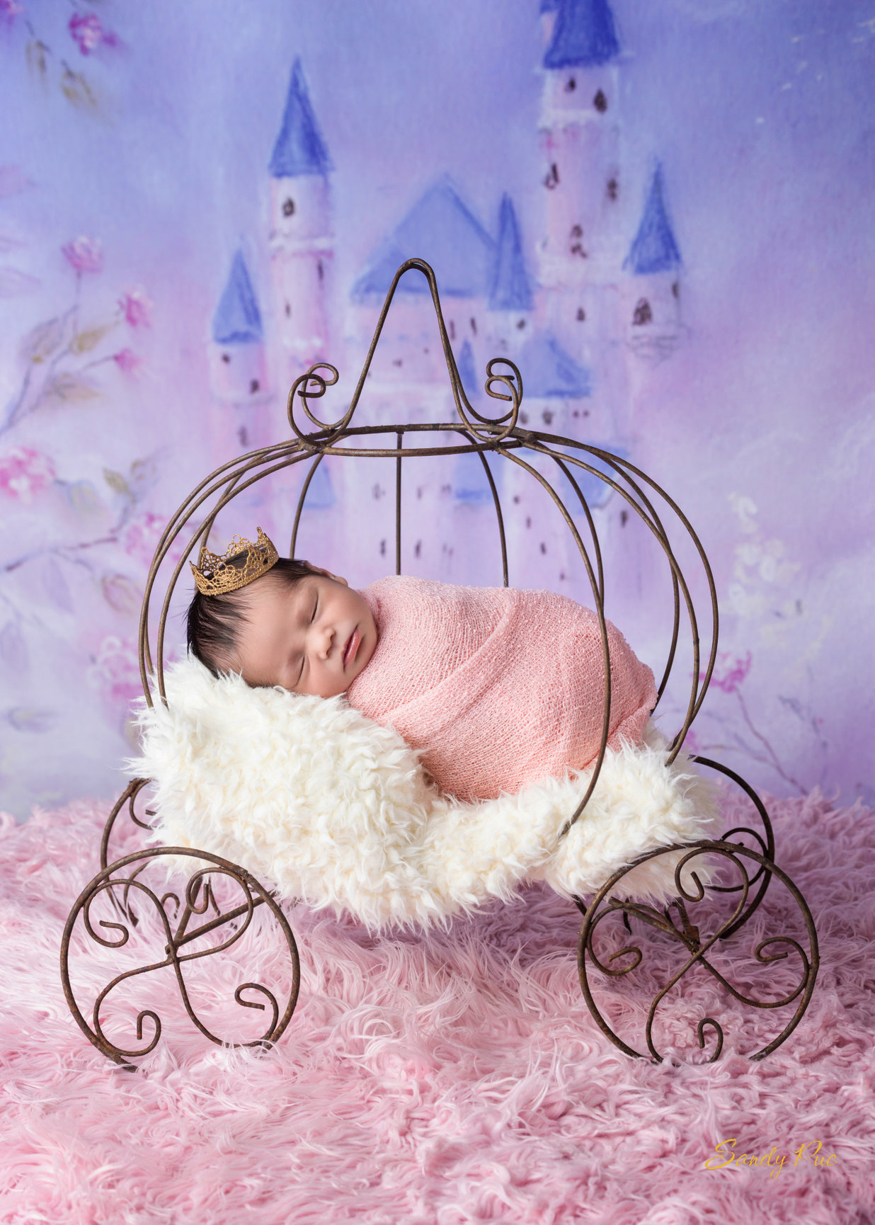 5 Tips For Your Newborn Session