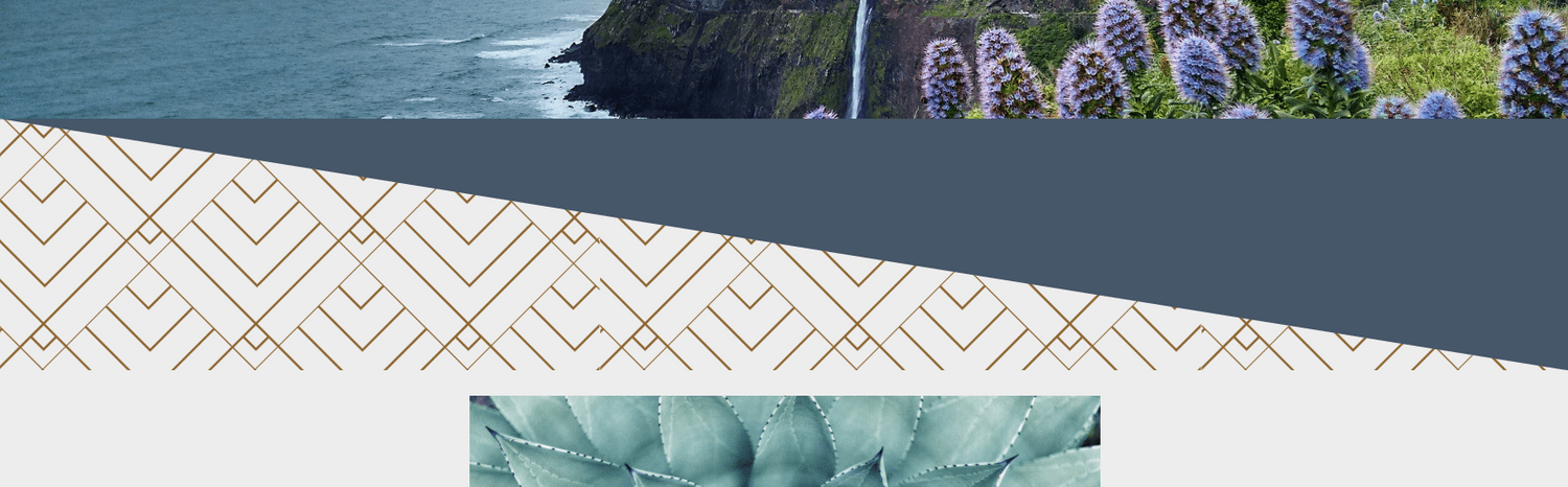 How To Use Slant And Point Dividers - PhotoBiz Knowledge Base