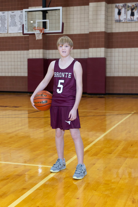 BRONTE SCHOOL - Scherz Studio