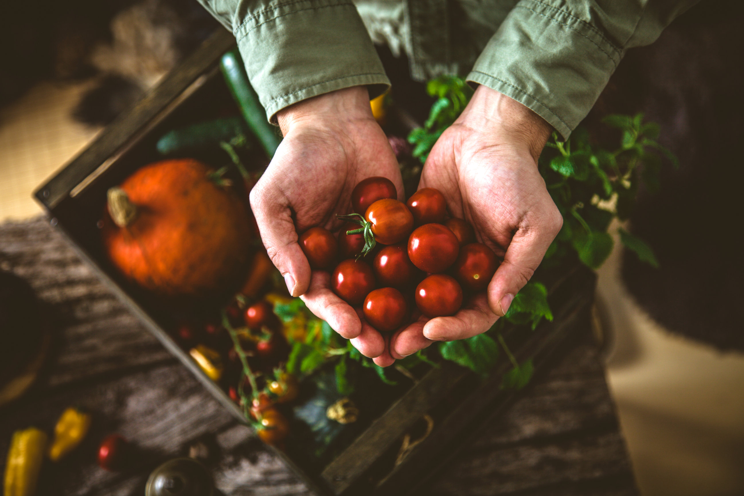 Taylor Boone Video and Commercial Photography Production | Greater Bay Area