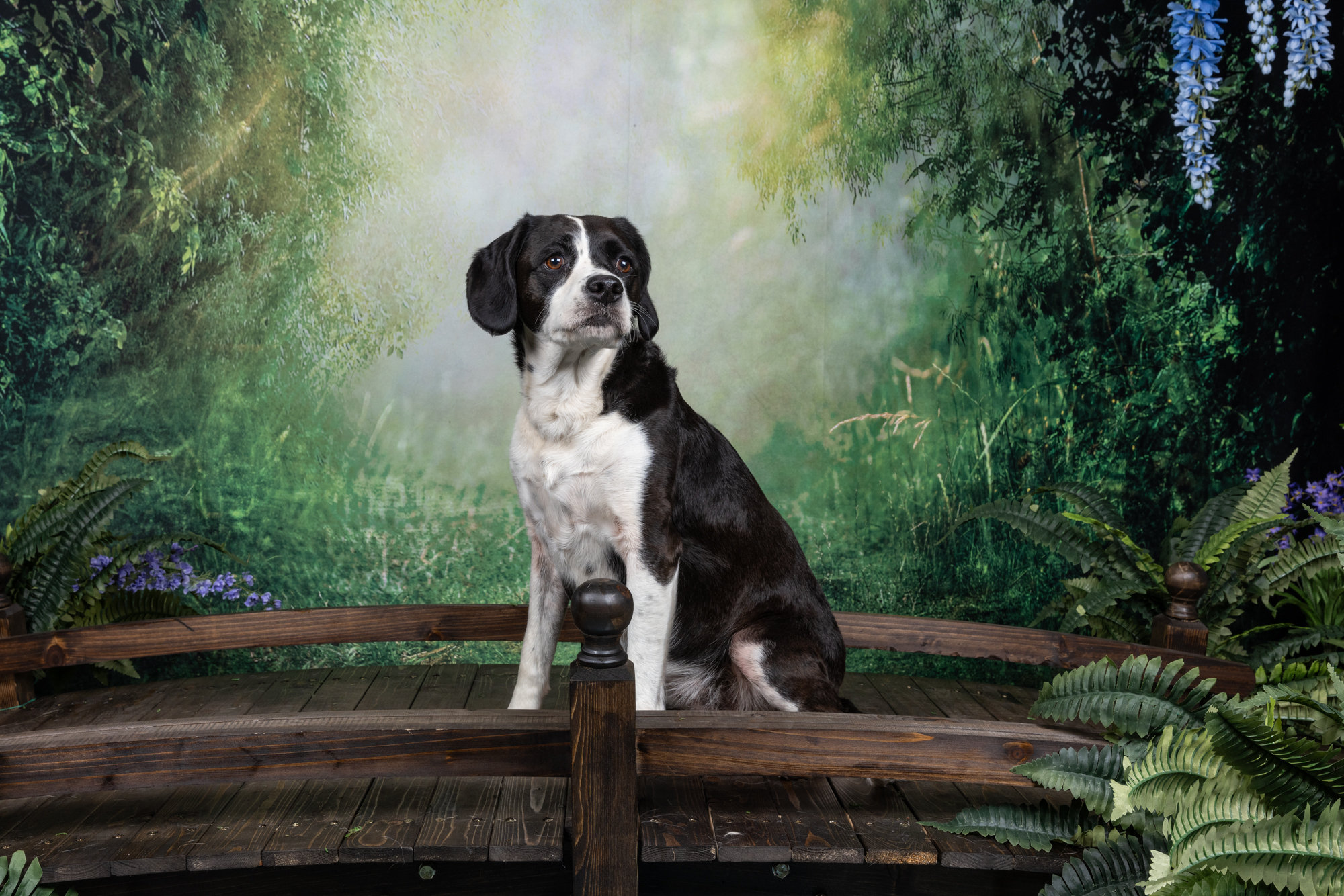 Meet Calendar Girl Piper - Terri Jacobson Photography