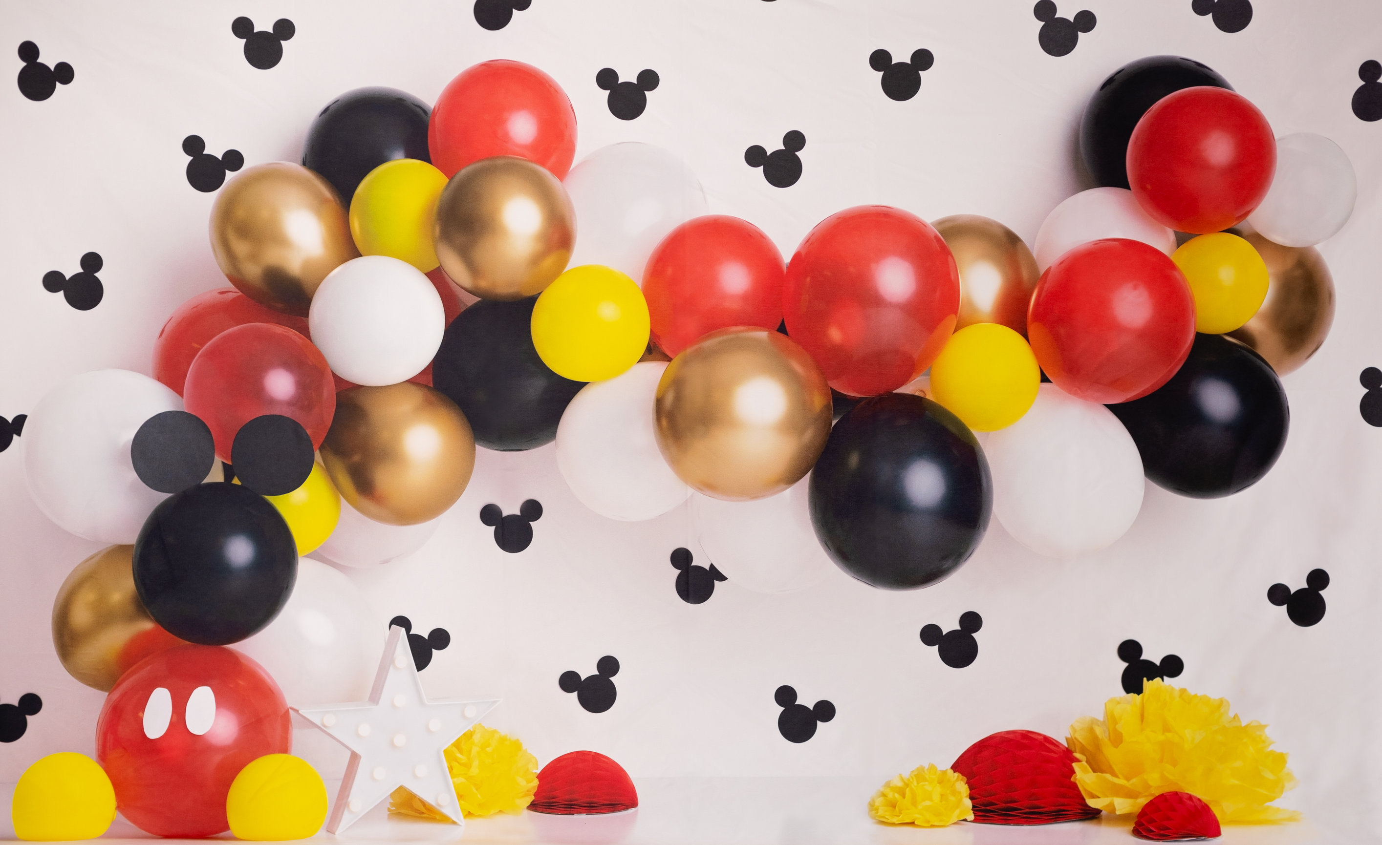 Brampton and Caledon Cake Smash Photographer - Signature Backdrops ...