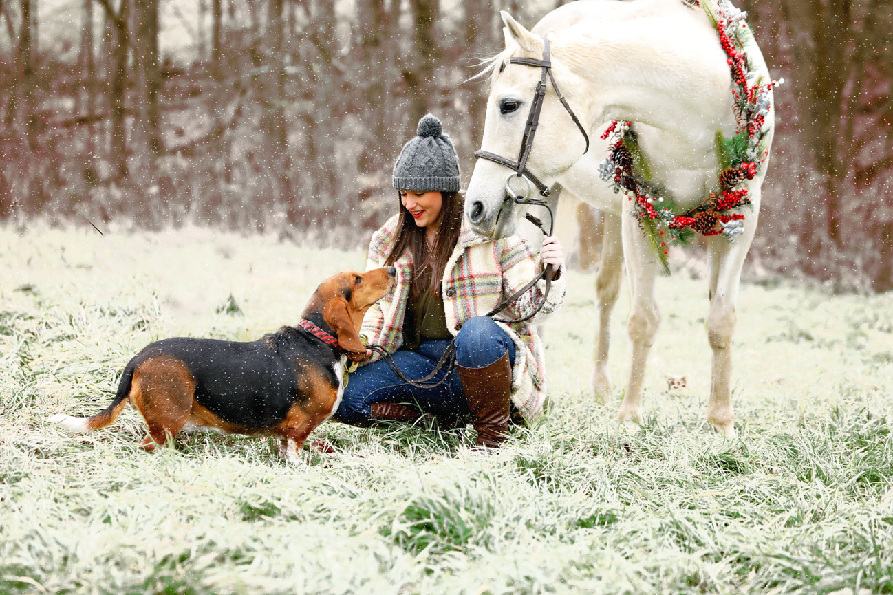 EQUINE - Tri Color Photography