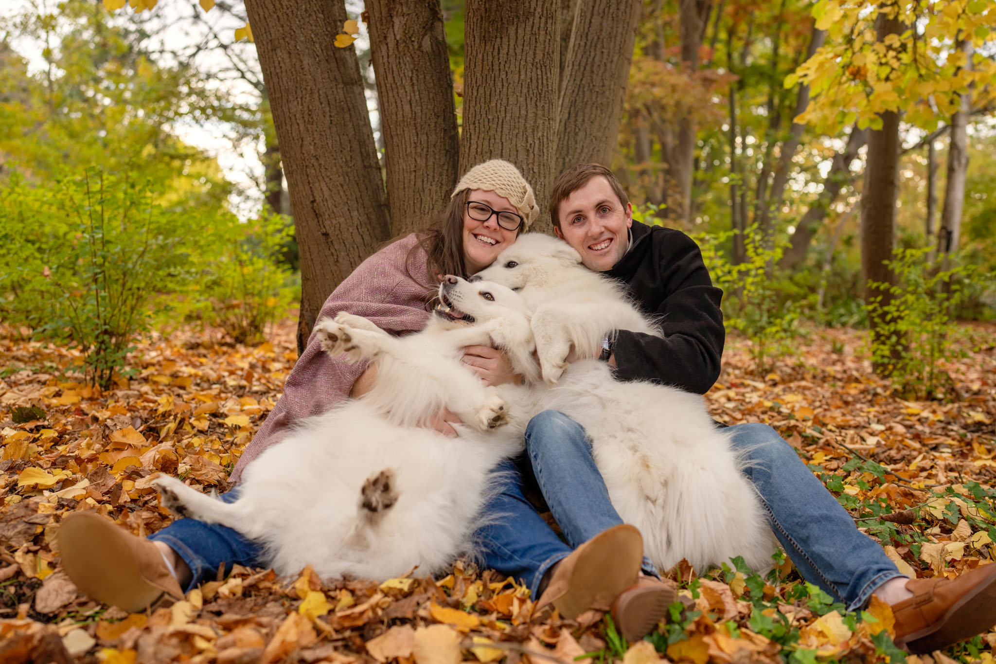 Top 8 Facts About Dog Parents