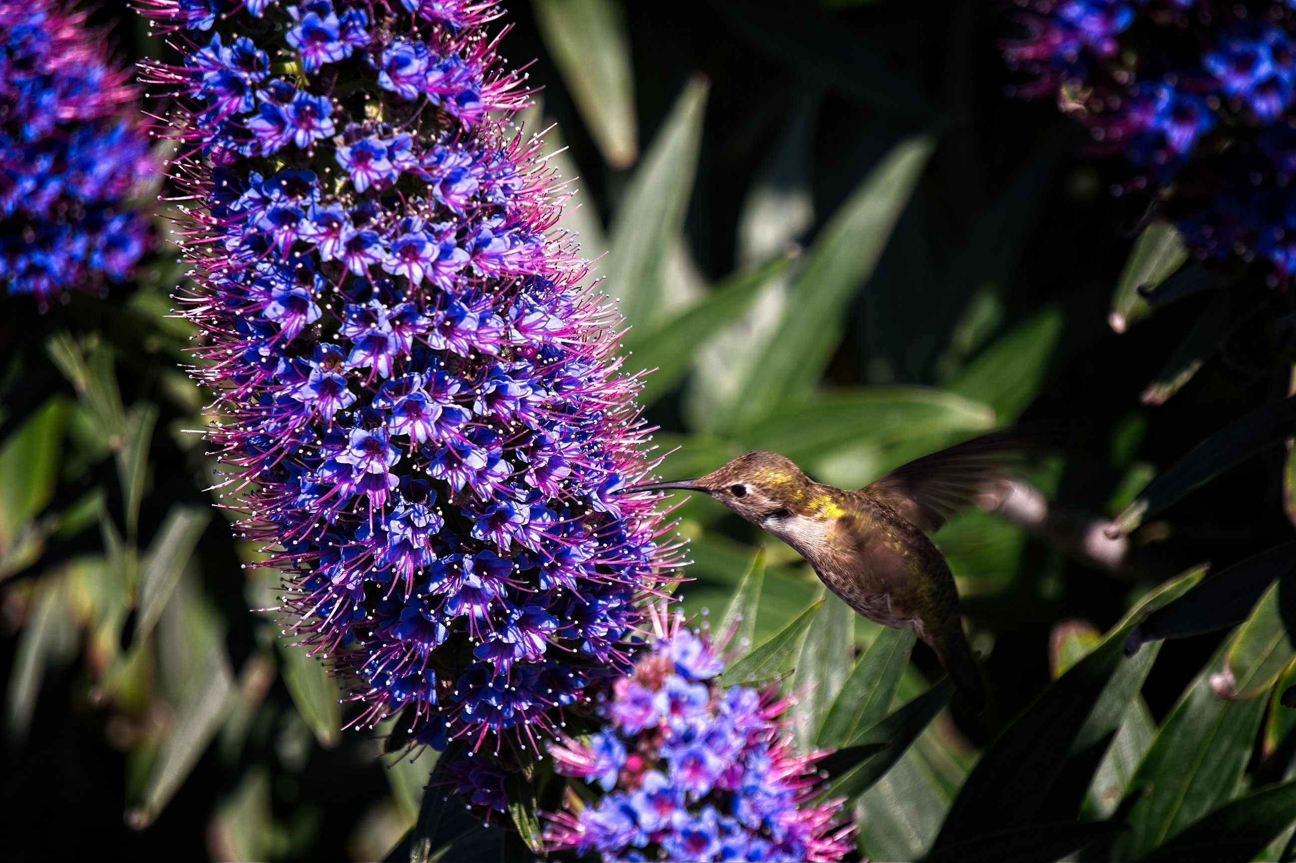 Artist- Eric Wiles Photography