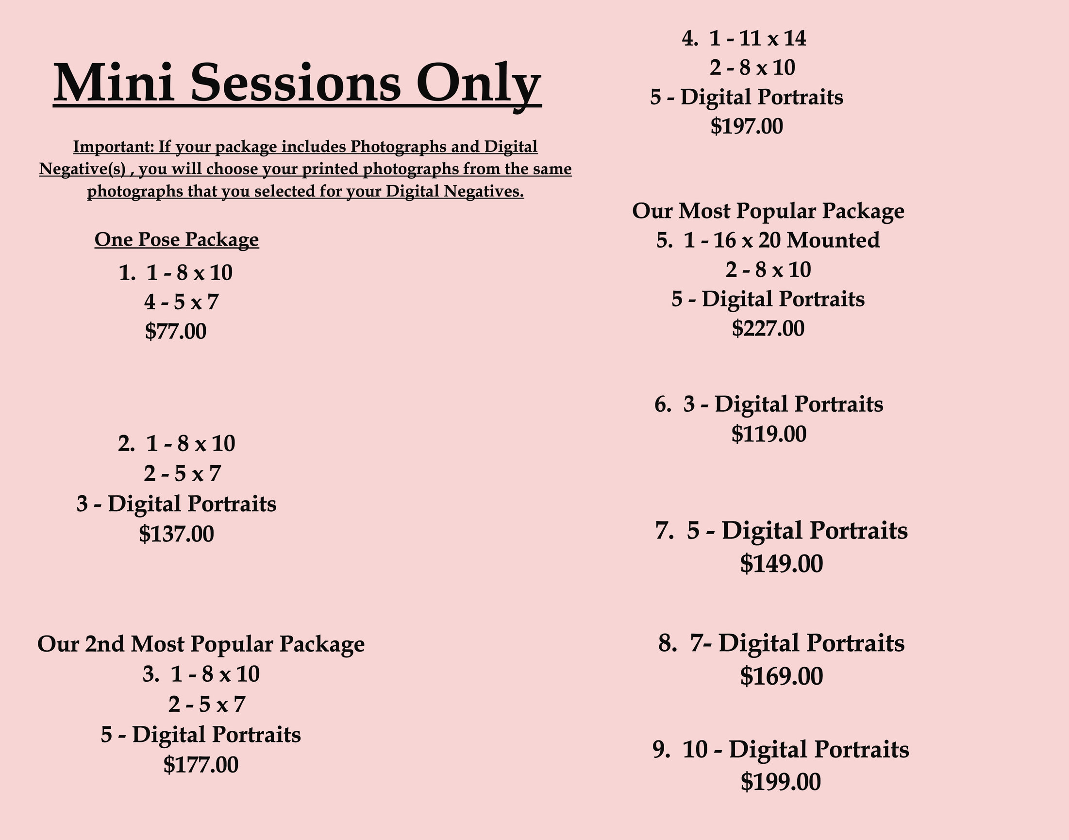 Mini Session Prices - Power Photography