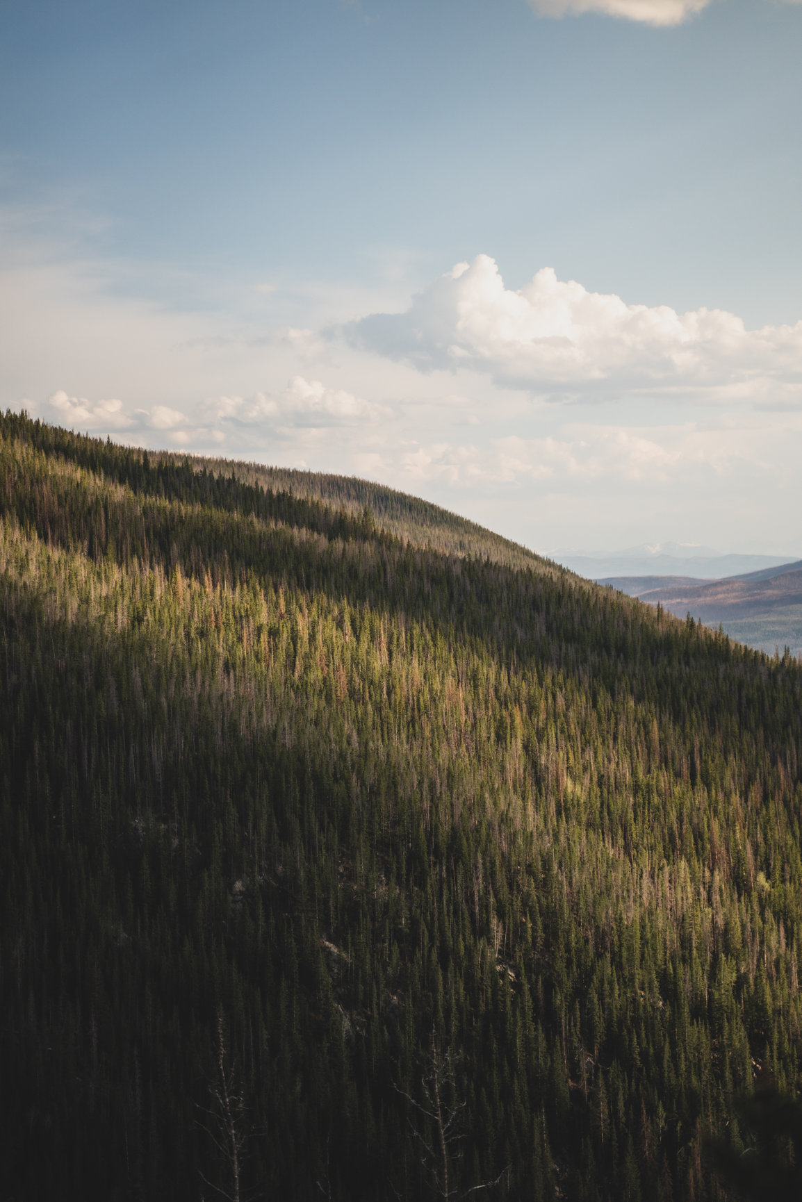 HOME - Taylor Dalton Photography