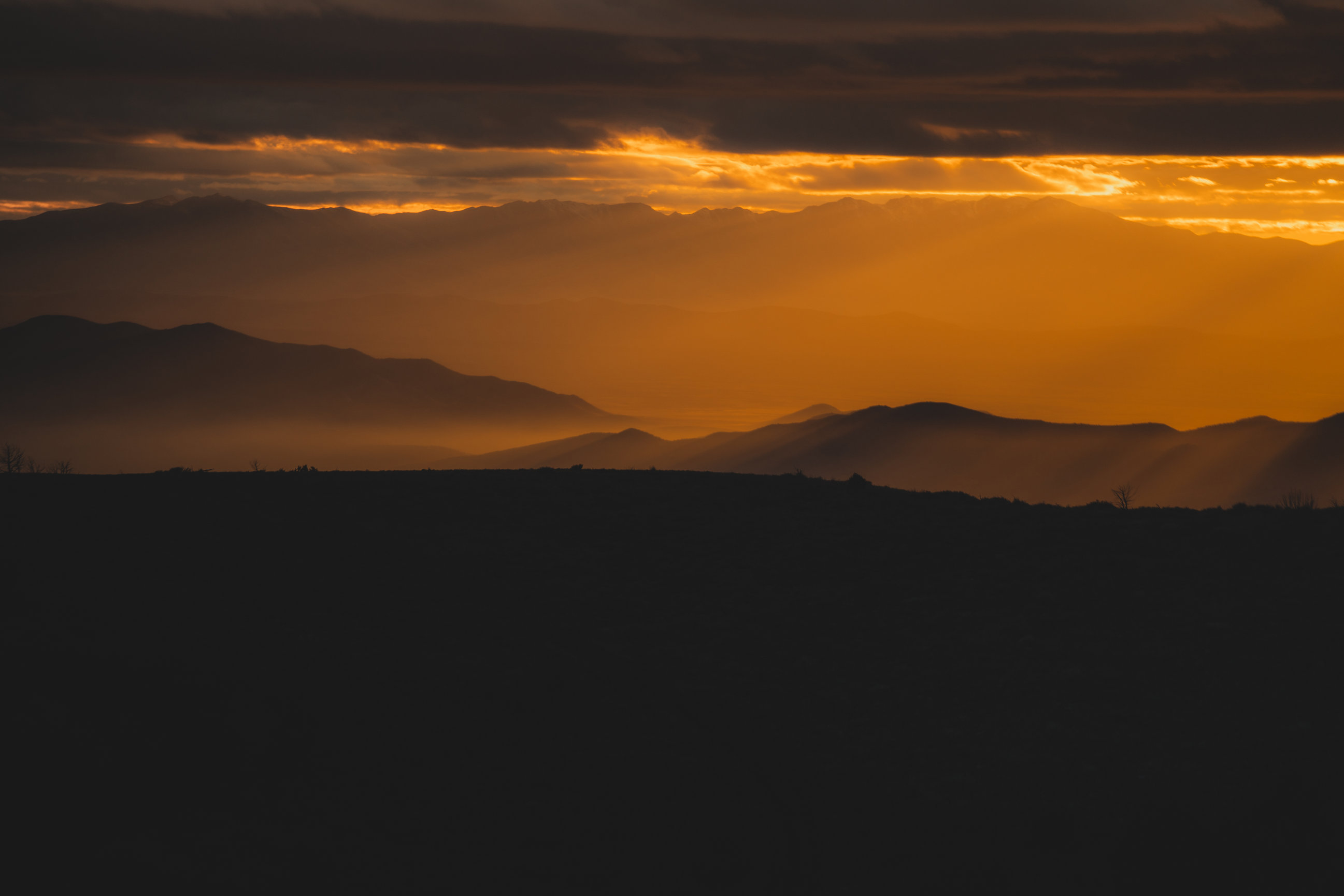 HOME - Taylor Dalton Photography