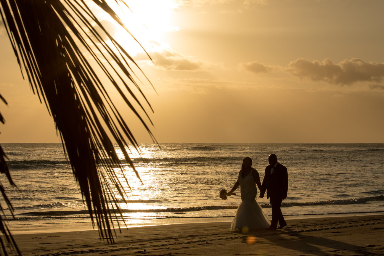 HOME - Clapp Studios