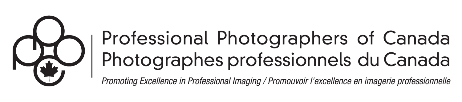 What's P.P.O.C? - Light and Vision