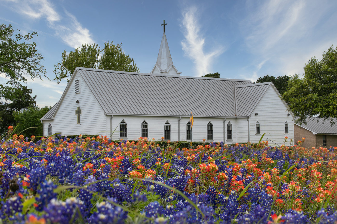 Stories Behind the Images - Alison Faith Fine Art