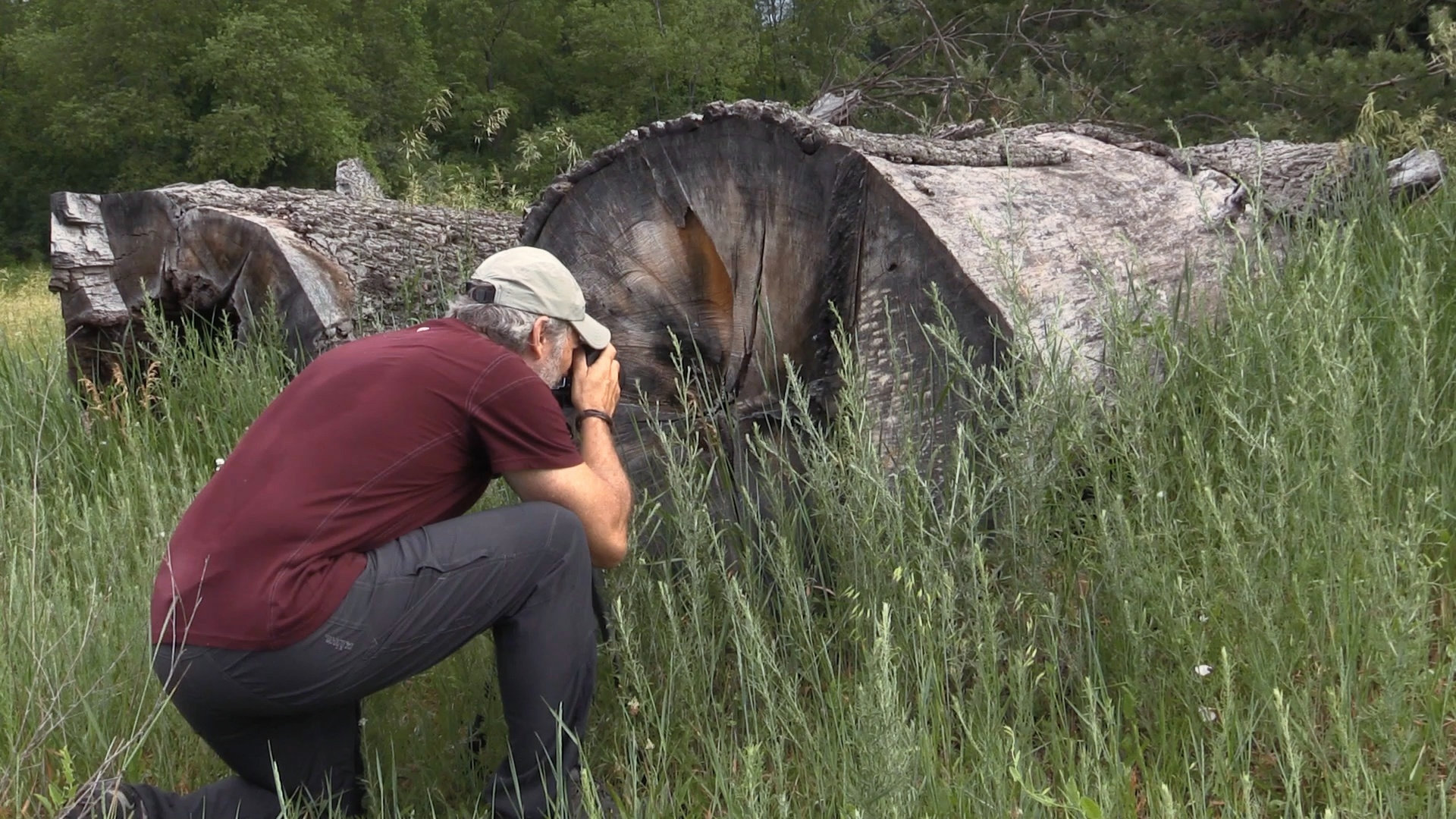 Chainsaw Art - Mike Moats - Award Winning Macro Photographer