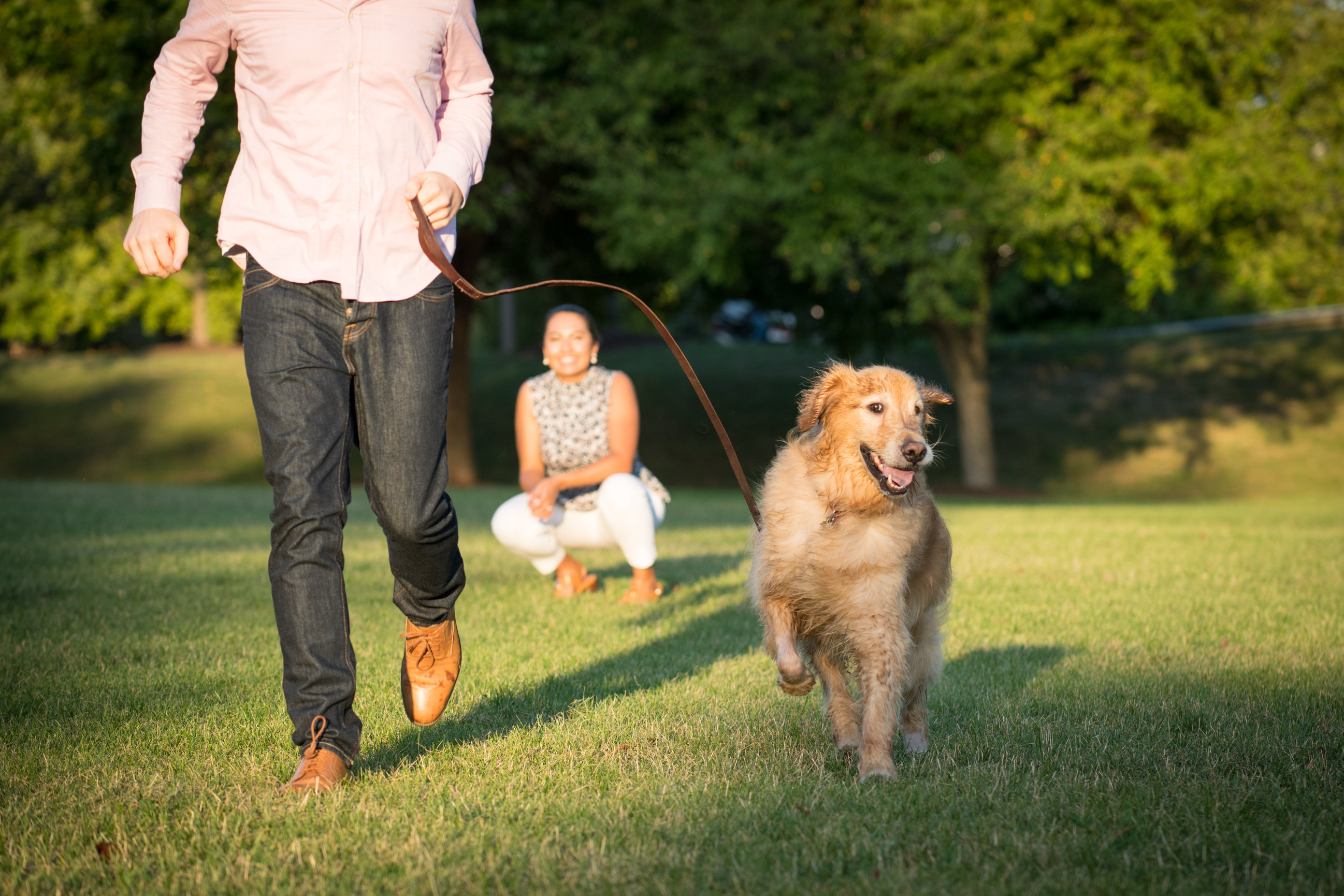 The Ultimate Guide To Preparing for a Dog Photo Session