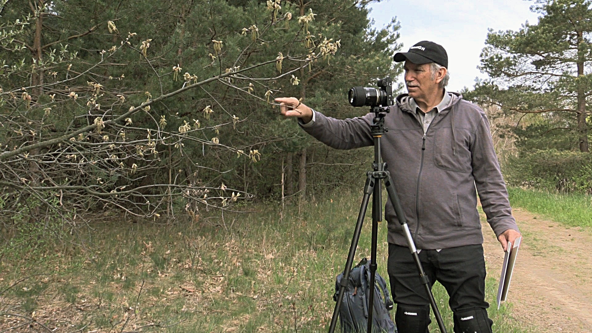 Tree Buds Are Starting to Pop - Mike Moats - Award Winning Macro ...