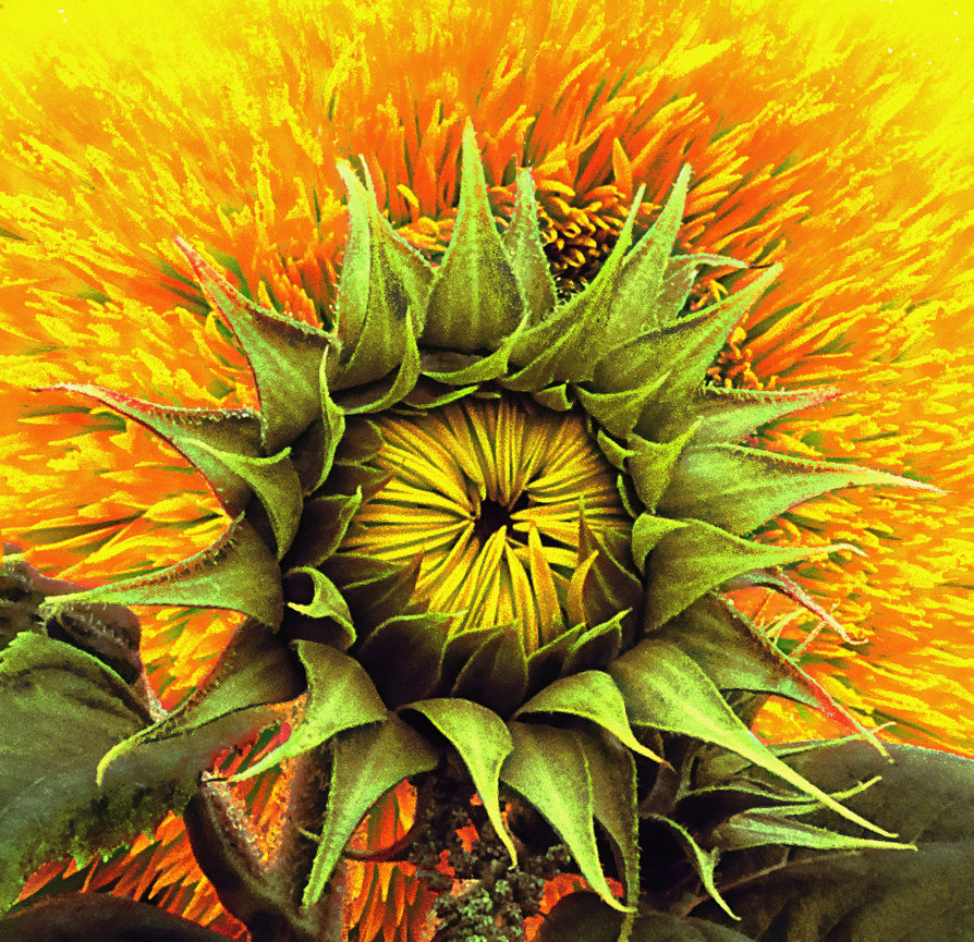 My Images Don't Look So Great Coming Out of the Camera. - Mike Moats ...