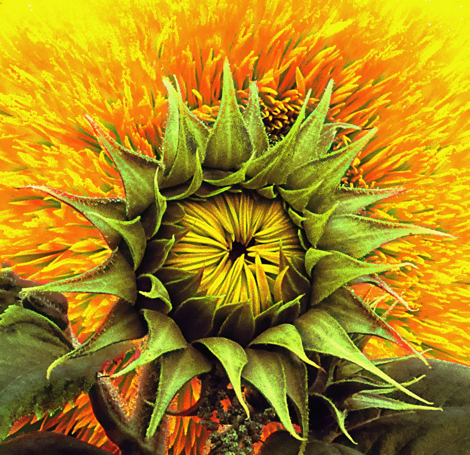 My Images Don't Look So Great Coming Out of the Camera. - Mike Moats ...