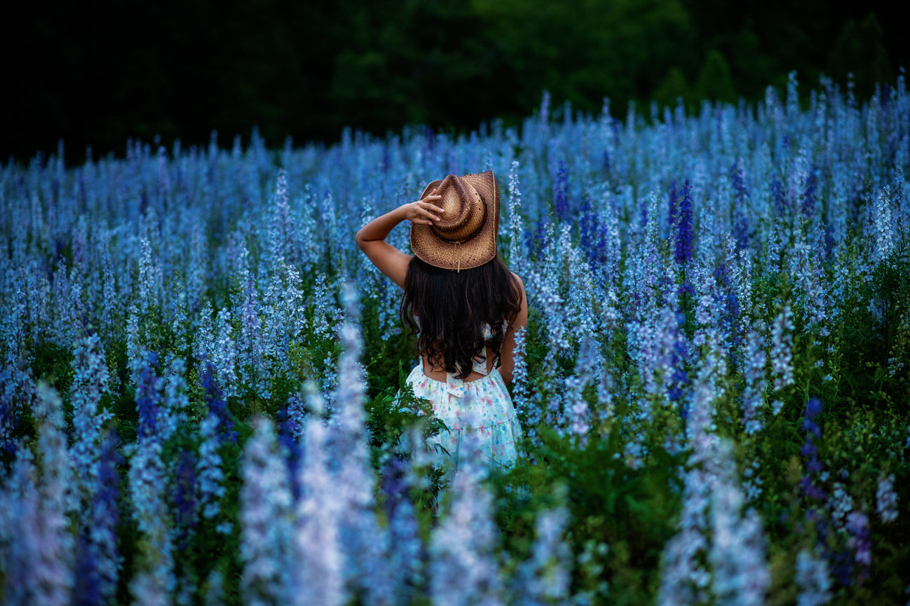 Wildflower Photography | Charlotte and Lake Norman Senior Photography