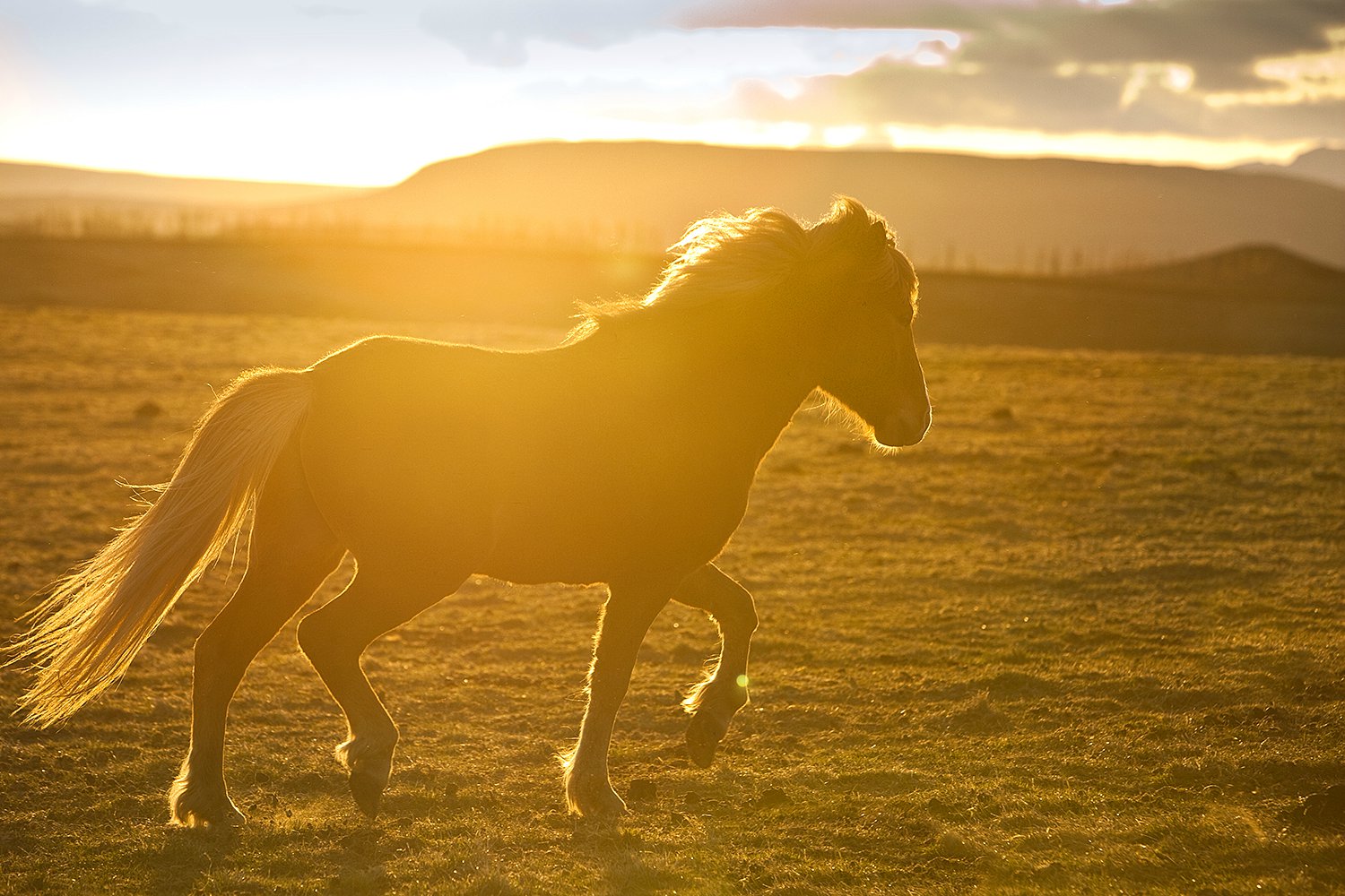 Iceland - Jim Zuckerman photography & photo tours