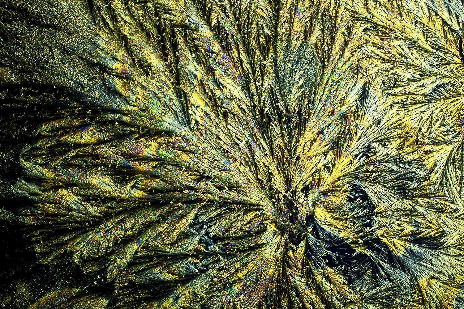 Polarized Crystals - Jim Zuckerman photography & photo tours