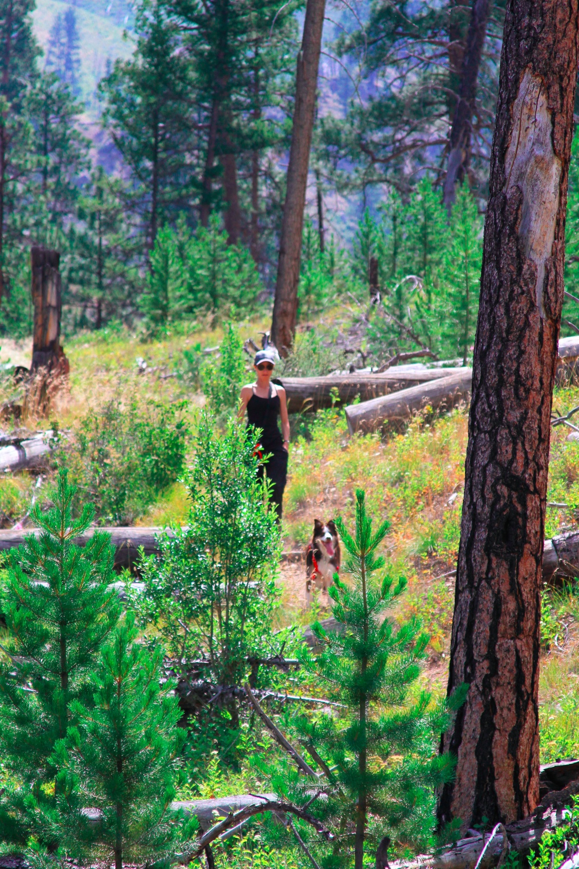 The Benefits of Going OFF GRID