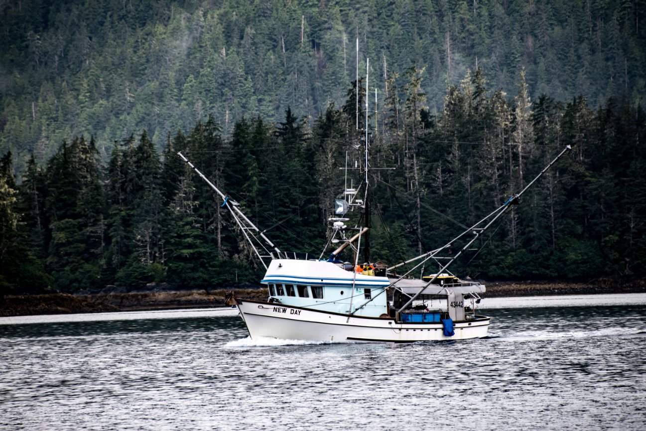 ALASKA and the ALPS-Gallery - Mark Miller Fine Art - In New York and ...