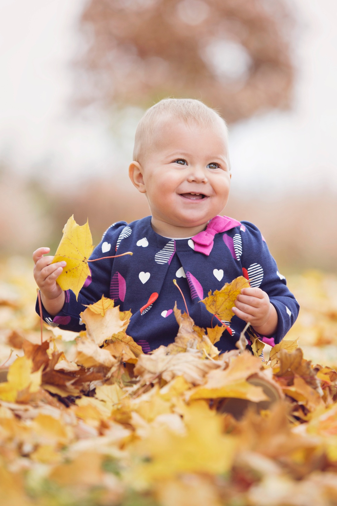 Sara Haley Photography | Twin Cities, Minnesota and beyond